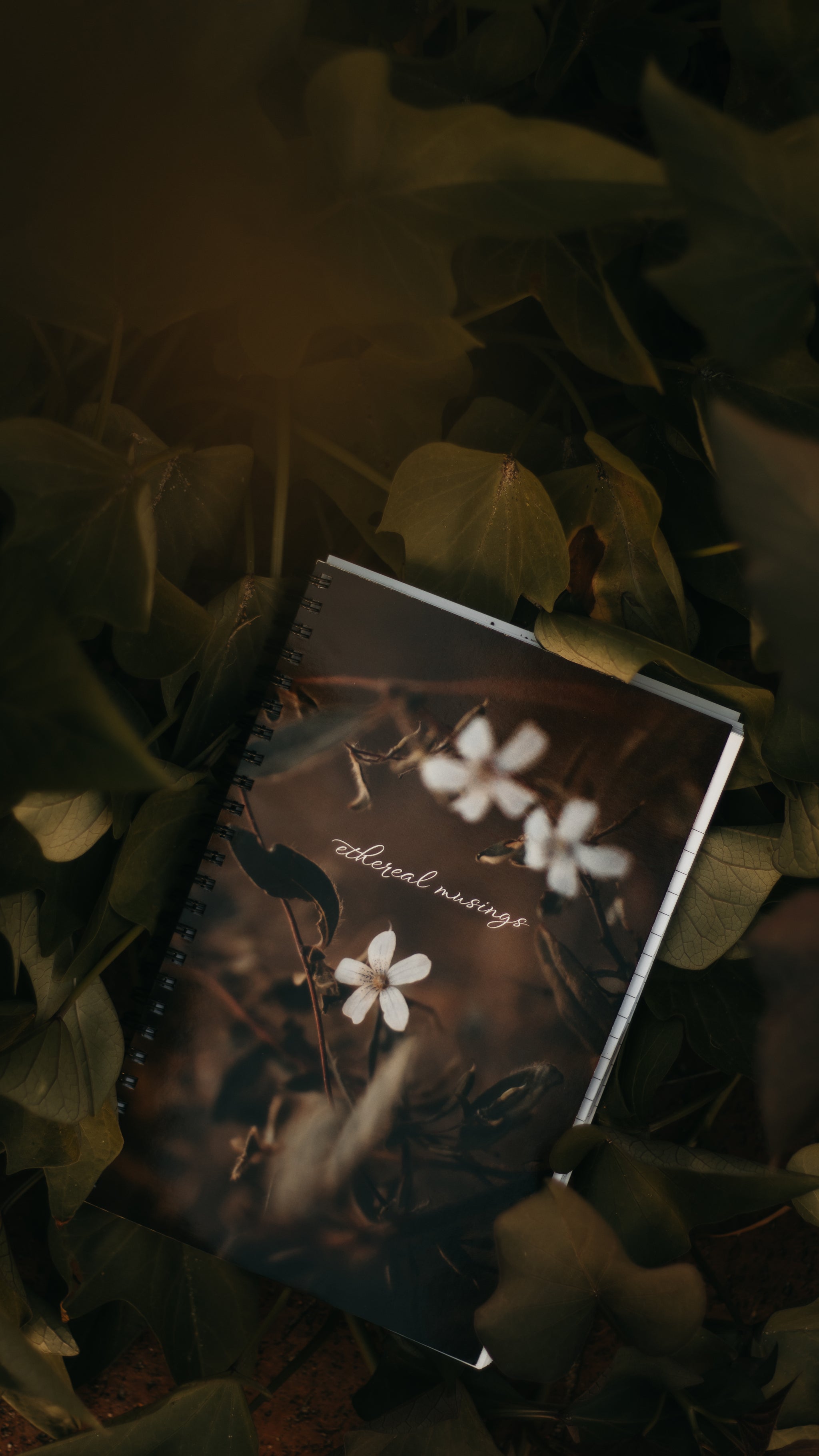 Sol Search Studio - Multipassionate Visual Artist – solsearchstudio