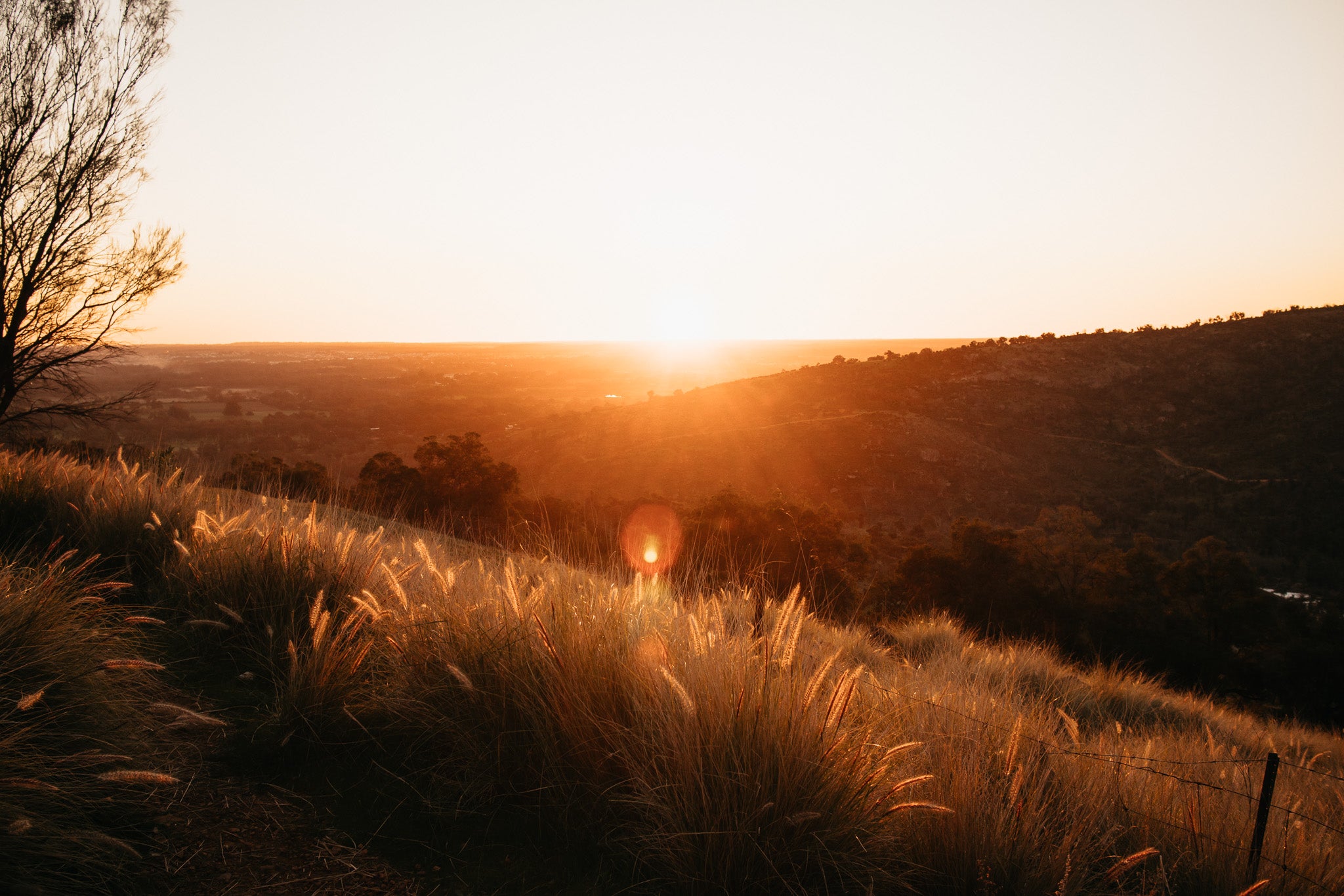 Sol Search Studio - Multipassionate Visual Artist – solsearchstudio